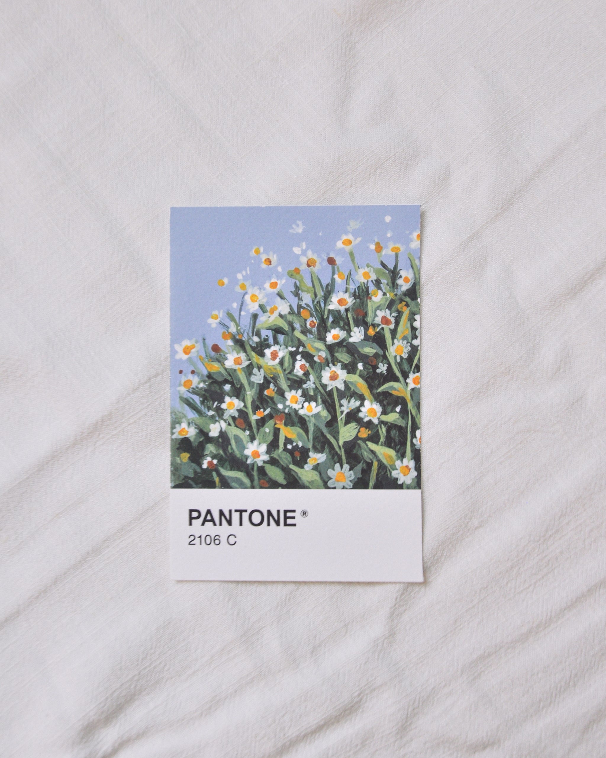 Color Cards – Colordrunk