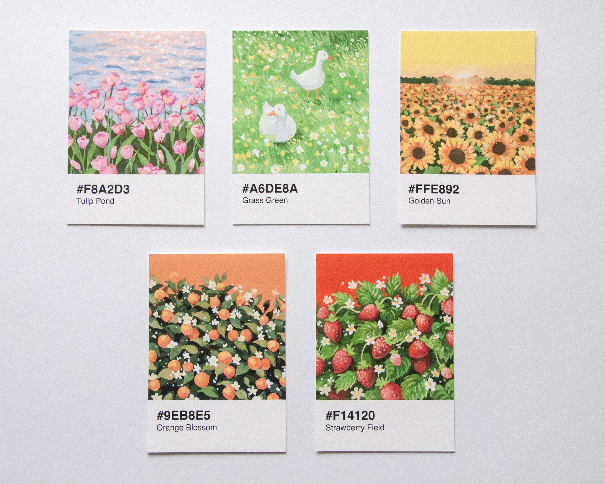 Color Cards (2023 Edition) – Colordrunk